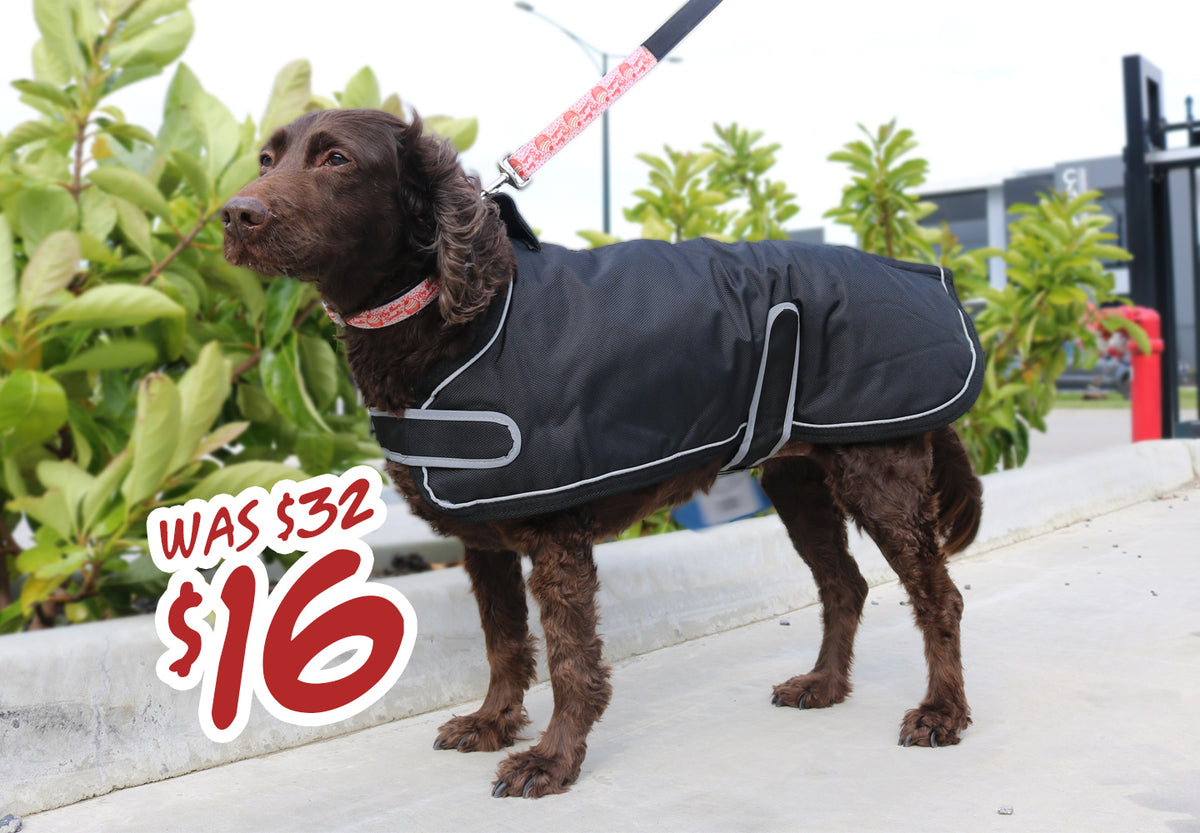 Workwear, Pet Supplies and More! | Hardware Hub Pakenham